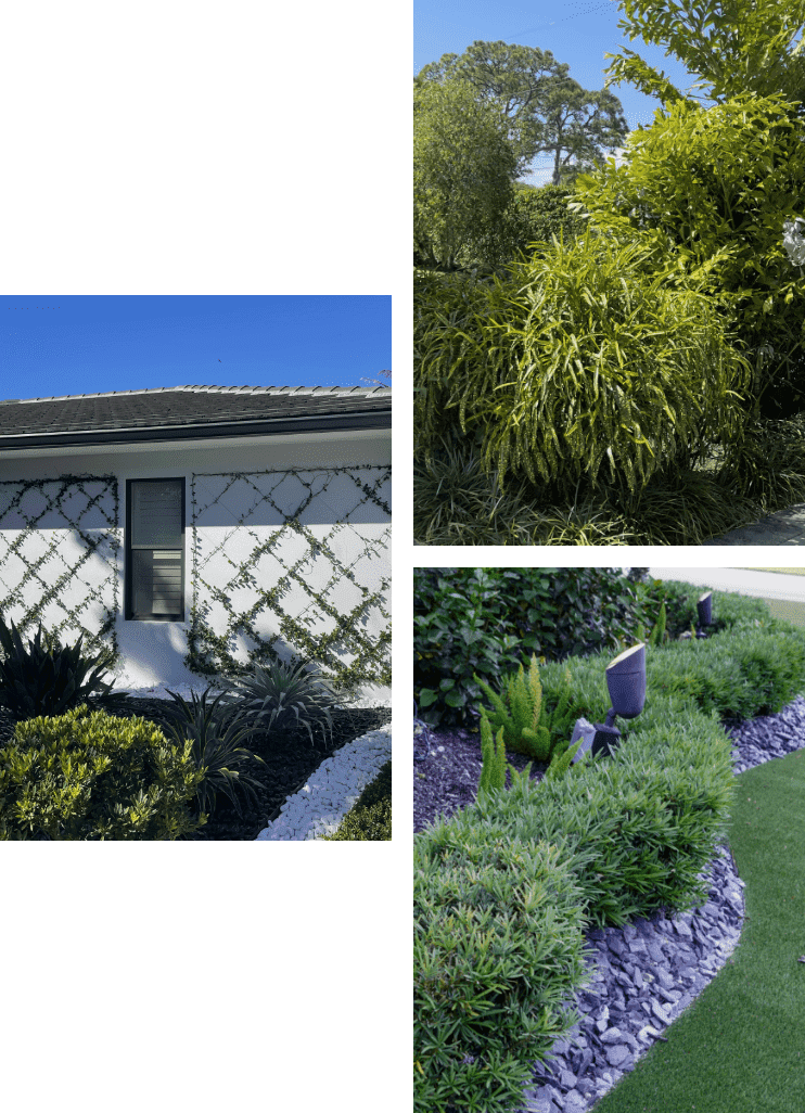 Landscape Design and Installation in Stuart, FL - Complete Backyards