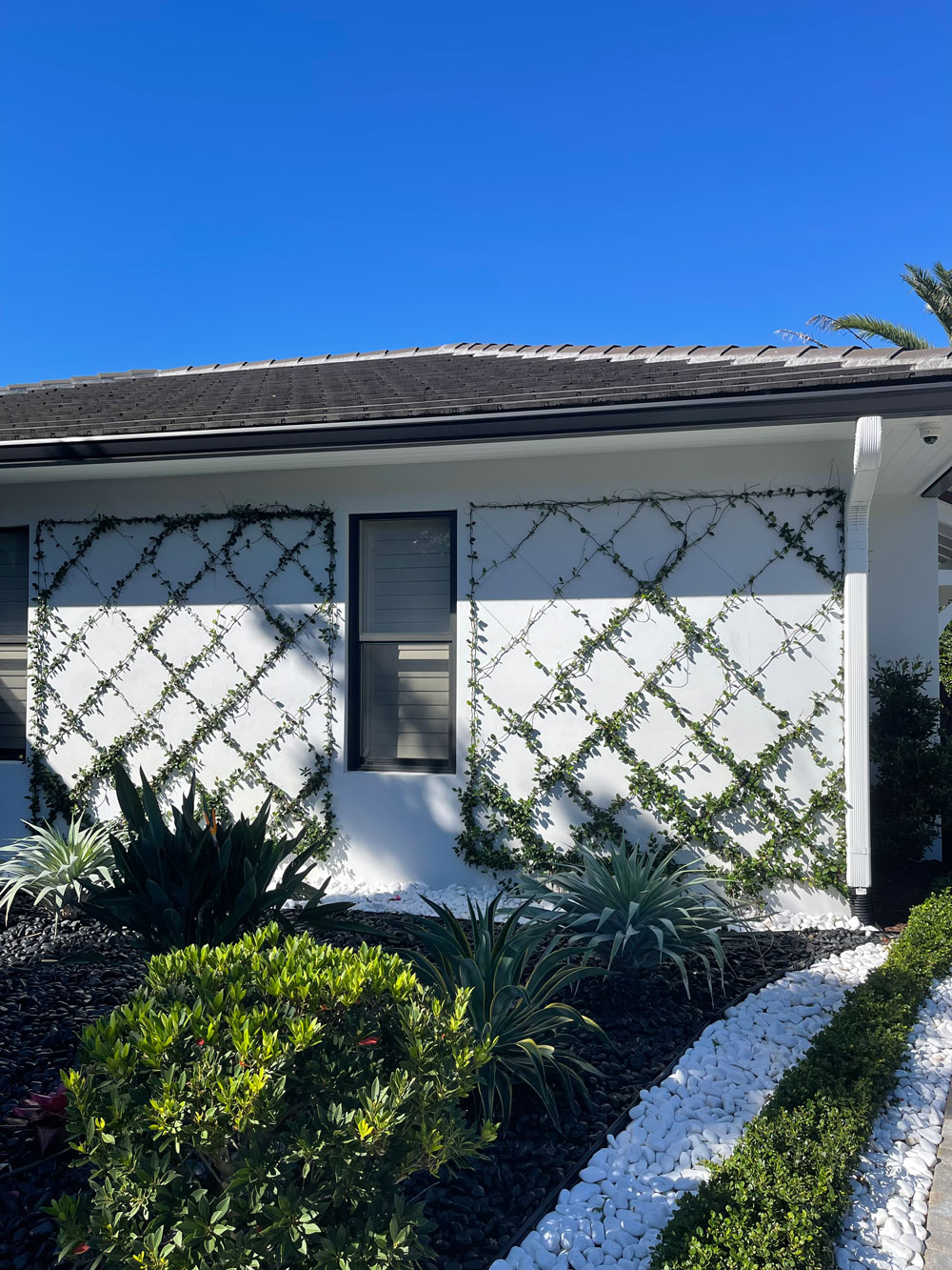 Dylan-Jupiter - Complete Backyard