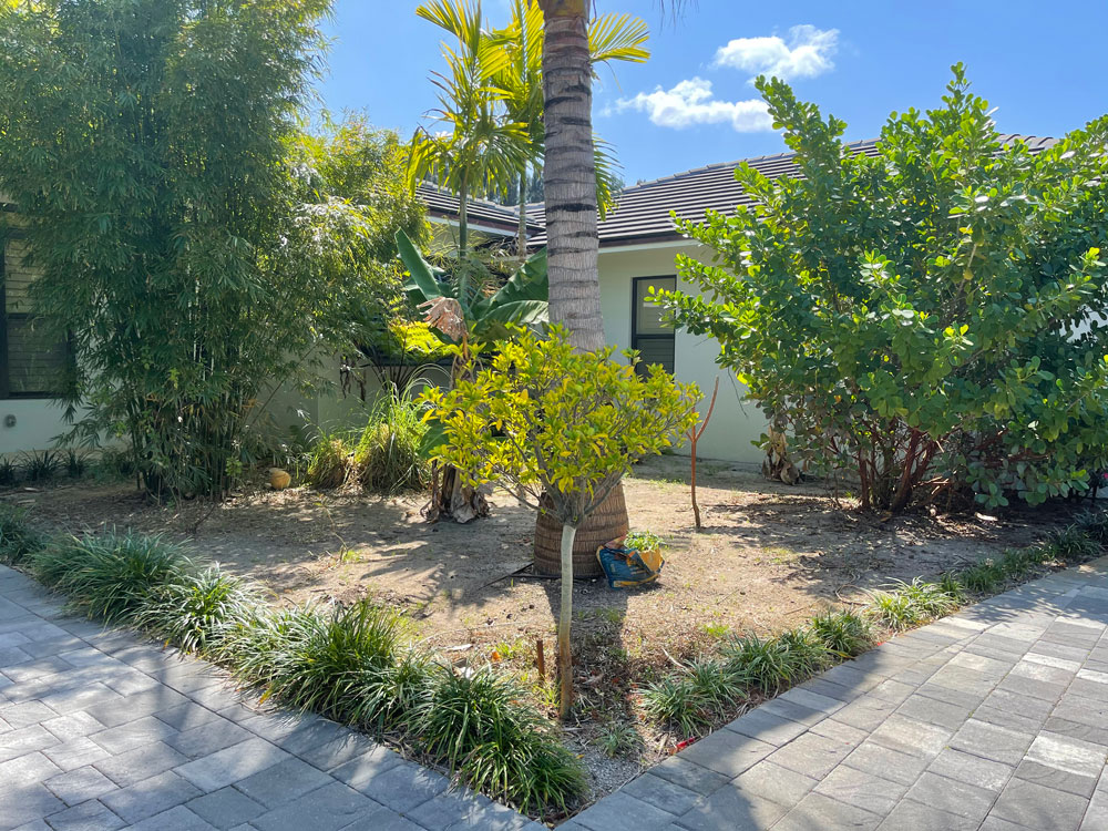 Dylan-Jupiter - Complete Backyard