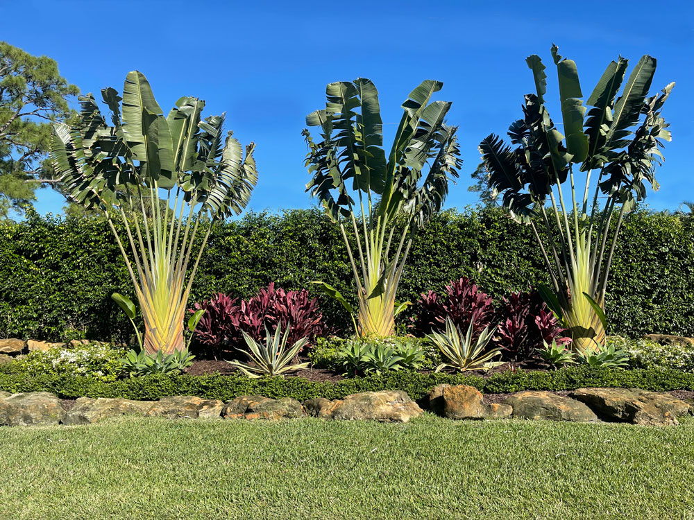 Dylan-Jupiter - Complete Backyard