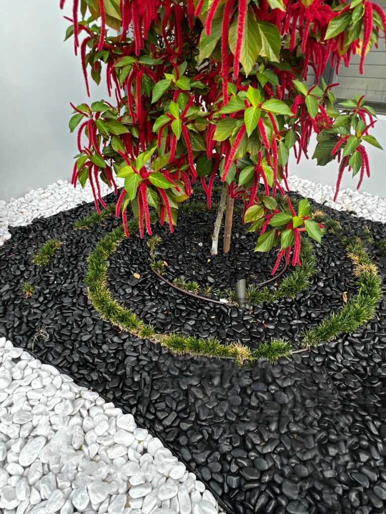 Dylan-Jupiter - Complete Backyard