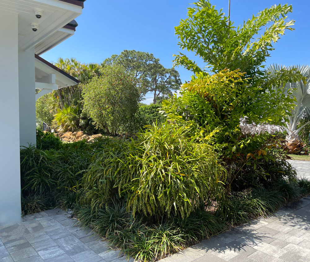 Dylan-Jupiter - Complete Backyard