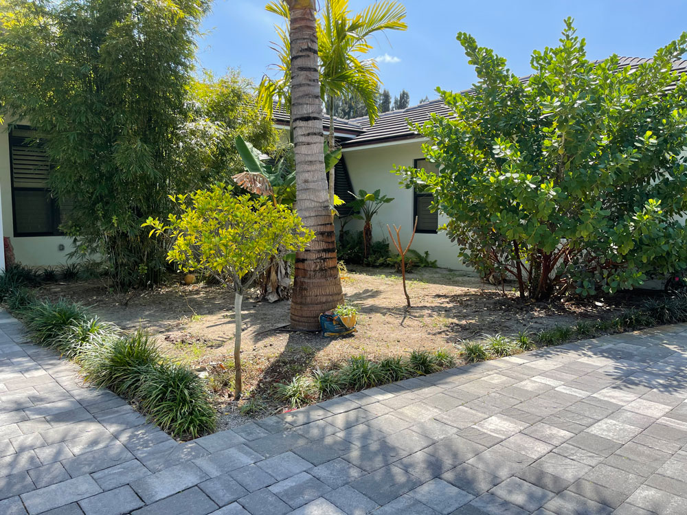 Dylan-Jupiter - Complete Backyard